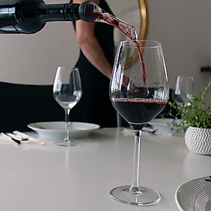 Barvivo Red Wine Aerator and Wine Saver Pump with 2 Vacuum Bottle Stoppers - Preserver For Your Wine - Ultimate Gift Idea as Valentines Day Gifts - Wine Vacuum Pump for Enhanced Taste of Wine