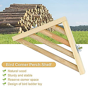 Litewoo Bird Perch Corner Platform Stand Shelf for Birds Budgie Parakeet Cockatiel Conure Cockatoo（Ladder）