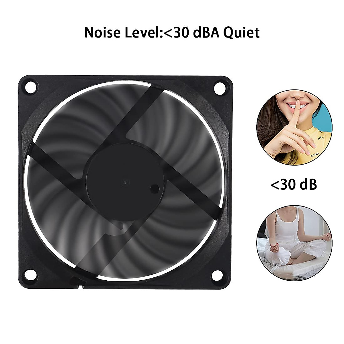 2Pcs DC 24V 8010 Fan Dual Ball Bearings 80mm 10mm Fan 3D Printer 80x80x10 Brushless Cooling Fan for Makerbot for 3D Printer PC CPU Computer Case Fan Cooler and Other Small Heat Dissipation Equipment