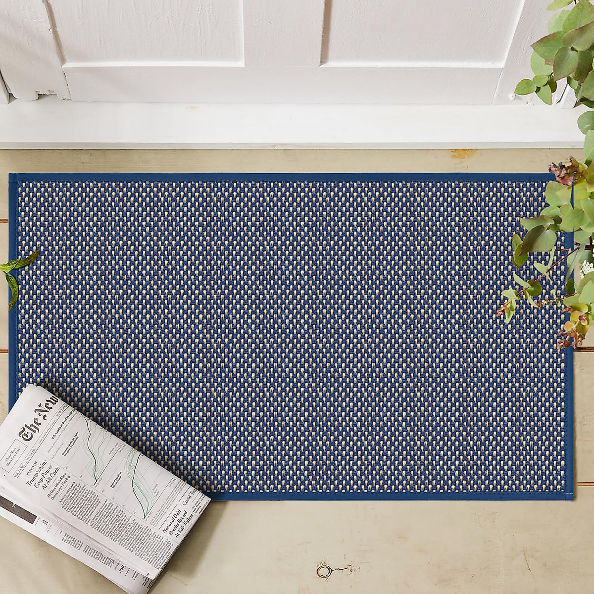 Artoid Mode Washable Non Slip Rubber Backing Kitchen Rugs Blue Doormat, Absorbent Kitchen Floor Mats Front of Sink Kitchen Mats for Floor Home Decor 17x29 Inch