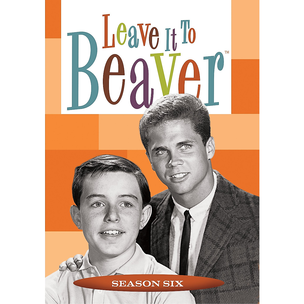 Leave It to Beaver: Season 6