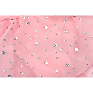 DANSHOW Ballet Leotards for Girls Dance Camisole Dress with Shiny Tutu Skirt(4041-08-M)