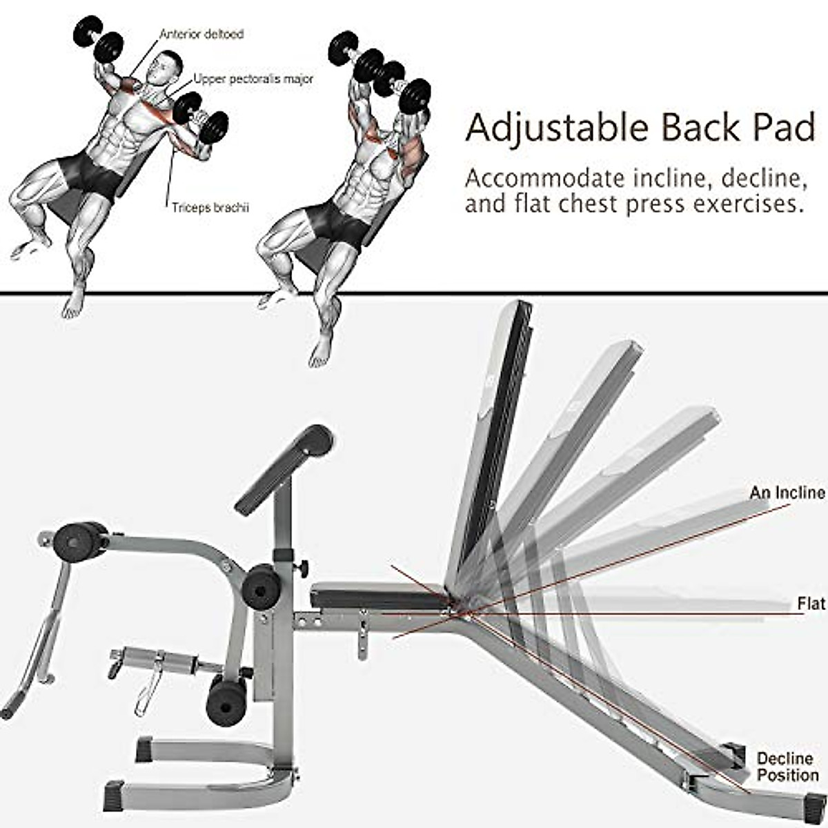 Merax Weight Bench with Leg Extension - 6+3 Positions Adjustable Olympic Utility Benches with Preacher Curl Upgrade Design