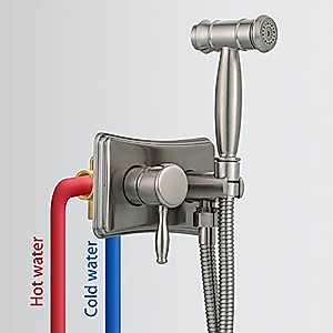 Tecmolog Stainless Steel Toilet Sprayer Kit Hand Held Bidet Sprayer for Toilet Hot and Cold Water Diaper Sprayer Shattaf Bathroom Attachment, Brushed Nickel, WS035F