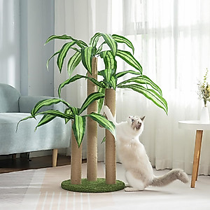 LEMONDA 31.5Inch Cat Scratching Post,Cat Scratcher Tree with 3 Scratching Poles & 2 Interactive Dangling Balls,Cats Scratching Posts for Indoor Kitten & Adult Cats