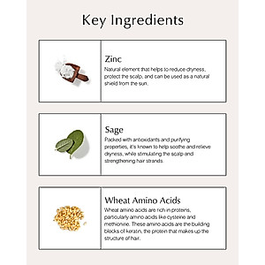 John Masters Organics 2-in-1 Shampoo & Conditioner for Dry Scalp with Zinc & Sage 16 oz