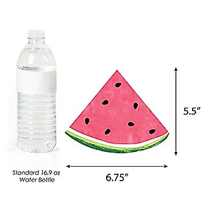 Big Dot of Happiness Sweet Watermelon - Decorations DIY Fruit Party Essentials - Set of 20