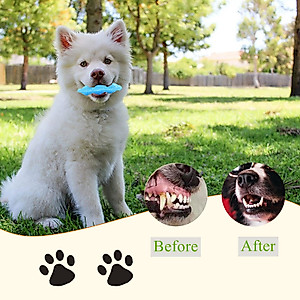 TAOLIN QING 3-Pack Puppy Chew Toy, Suitable for Dogs Born 2-8 Months Old, Relieve Pain During Tooth Replacement, Clean Teeth, Natural Rubber Products, Safe, Healthy, Durable, Easy to Clean