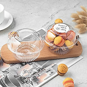 Zezzxu 100 Pack Individual Cupcake Containers Single Disposable Clear Plastic Dome Cupcake Holders Cake Boxes Muffin Case Cups Pods