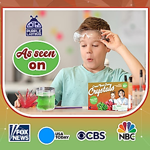 PURPLE LADYBUG Crystal Growing Kit for Kids for 10 Year Old Boys & Science Kits for Kids Age 12-14 - Fun STEM Projects for Kids & Science Experiments Educational Activity Kits for Teens