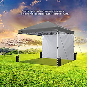 CROWN SHADES Pop Up Canopy Tent 10X10 Commercial Instant Canopy Tent Outdoor (10x10, Grey)
