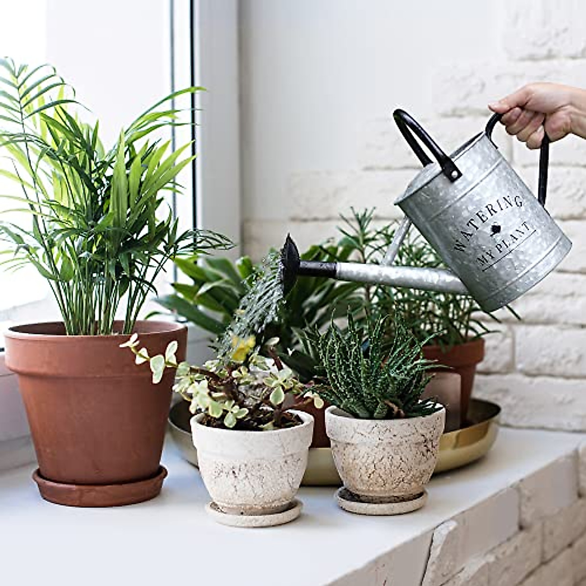 Garutom Galvanized Watering Can for Outdoor Plants, 1 Gallon Decorative Countryside Style Watering Can with Removable Spout, Perfect Metal Watering Can for Indoor Plants and Garden Flower