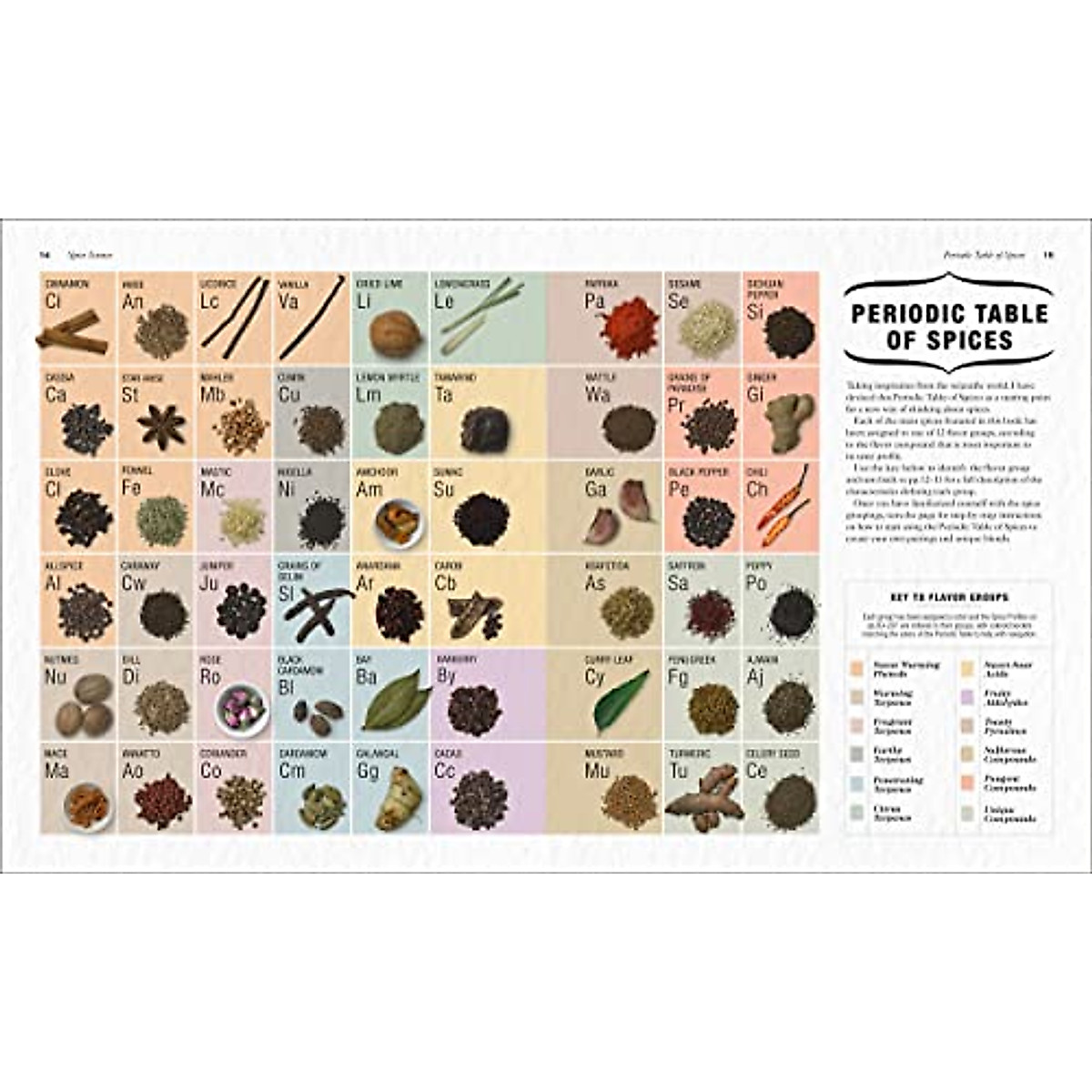 The Science of Spice: Understand Flavor Connections and Revolutionize Your Cooking