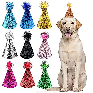 PET SHOW 10pcs Small Dog Birthday Hat Set for Boys Girls Medium Large Dogs Cat Kitten Puppies Party Hats with 0-9 Numbers 10 Glue Grooming Accessories