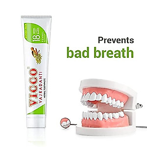 Vicco Vajradanti Herbal Toothpaste 18 Ayurvedic Herbs and Barks with Fennel Flavour - Pack of 3 (200g Each) - Specially Packed and Exported by Behal International