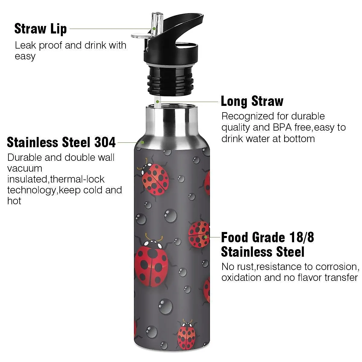 xigua Ladybug Water Bottle Double Walled Stainless Steel Leak Proof Thermo Flask for Sports Gym Cycling Outdoor,20 oz.