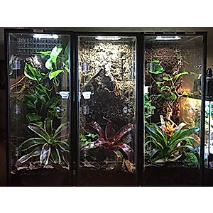 20 Gallon Long Aquarium Gecko/Arboreal Conversion Kit