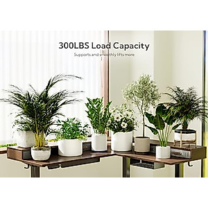 INNOVAR Triple Motor L Shaped Standing Desk with Drawers, Solid Wood Adjustable Corner Stand Up Desk, 63" Electric Standing Desk for Home Office, Black Frame/Brown Top