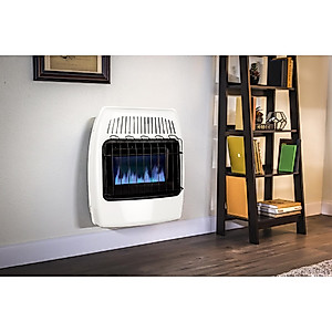 Dyna-Glo 20,000 BTU Natural Gas Blue Flame Vent Free Wall Heater, White