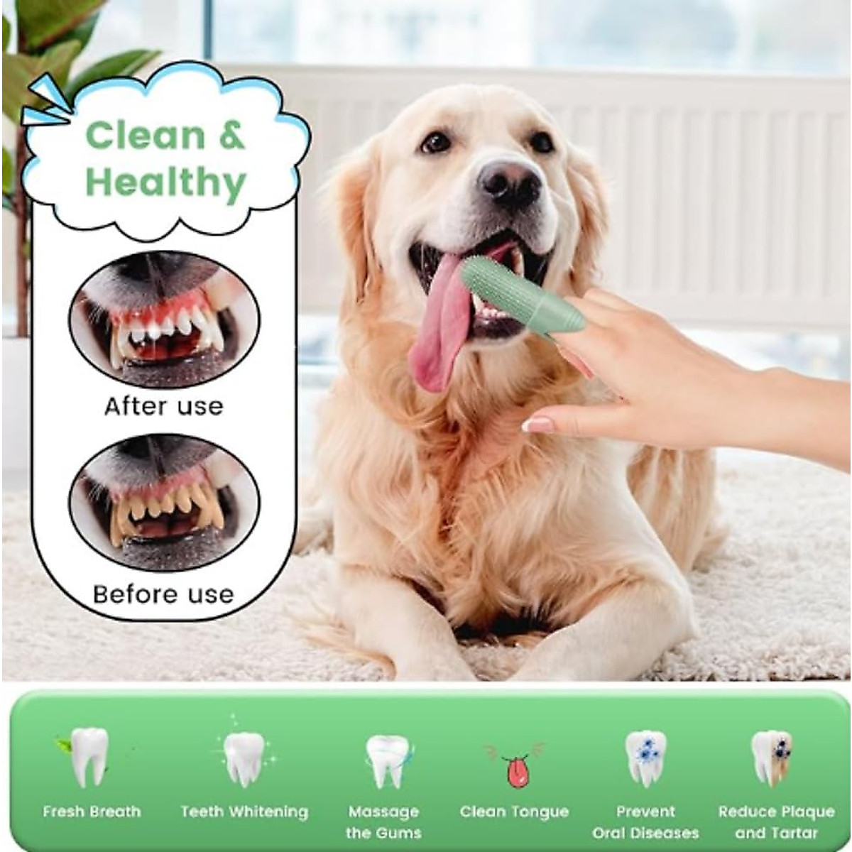 WallaSababa - Dog Toothbrush 4-Pack, 360º Dog Tooth Brushing Kit, Cat & Dog Finger Toothbrush for Small & Large Pets, Dog Teeth Cleaning Kit, Dental Care for Pets, Dog Toothpaste Not Included