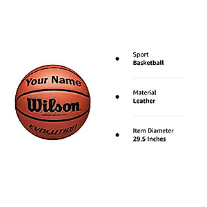 WILSON Customized Personalized Evolution Basketball Indoor Game Ball