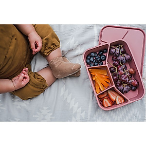 Spoondrift 100% Food Grade Eco-Friendly Leak-Proof Silicone Bento Box Lunchbox, For Child And Adult, 4 Compartment, Choose from 6 Colors, Includes 1 Box (Dark Pink)