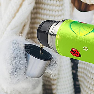 Insulated Water Bottle Stainless Steel Water Bottles Metal Water Bottle, Spring Ladybug Flower Leaves