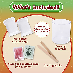 PURPLE LADYBUG Crystal Growing Kit for Kids for 10 Year Old Boys & Science Kits for Kids Age 12-14 - Fun STEM Projects for Kids & Science Experiments Educational Activity Kits for Teens