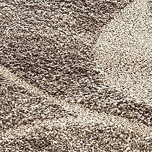 SAFAVIEH Florida Shag Collection 5'3" x 7'6" Smoke / Beige SG459 Floral Non-Shedding Living Room Bedroom Dining Room Entryway Plush 1.2-inch Thick Area Rug