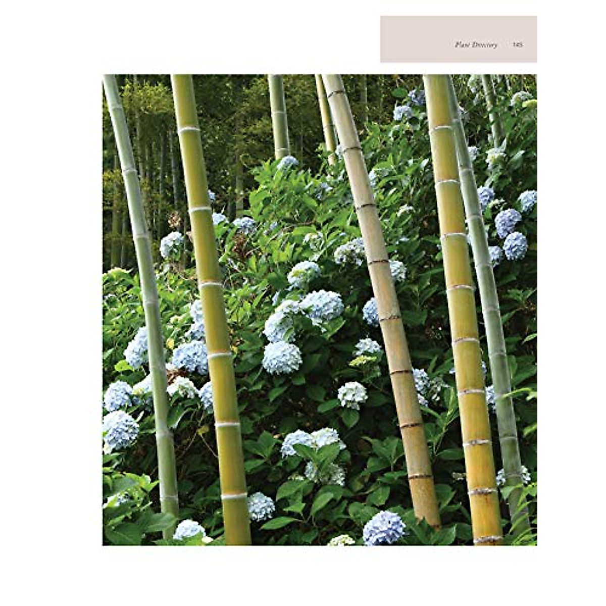 Authentic Japanese Gardens: Creating Japanese Design and Detail in the Western Garden (IMM Lifestyle Books) Traditional Elements, Layout, a Plant Directory of Trees, Shrubs, Bamboo, Flowers, and More