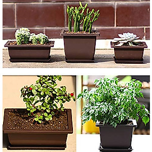 Yesland 6 Pack Bonsai Training Pots - 9 Inches Classic Deep Humidity Trays with Built in Mesh - Plastic Square Pot & Bonsai Plants Growing Pots