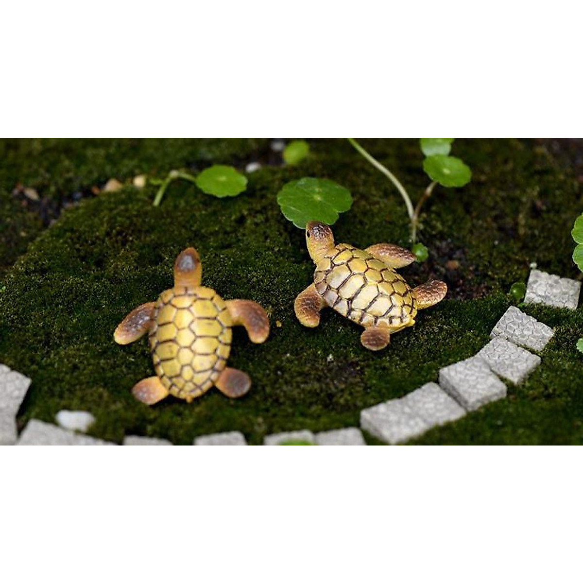 SunRise 6pcs Resin Cute Beach Sea Turtle Miniature Figurine Status Micro Landscape Decorations Fairy Gardens Dollhouse DIY Ornaments Decor