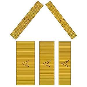 Toicann 23 Gauge Pin Nails (1",13/16",5/8",1/2",3/8") 5000 pcs Headless Pinner Nails for 23 GA Pneumatic or Electric Pinner or Pin Nail Gun, Ideal for Fine Woodworking or Trim Work