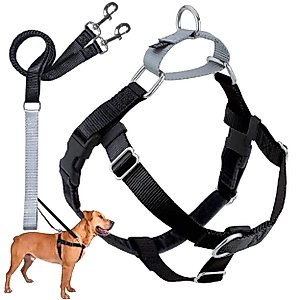 2 Hounds Design Freedom No Pull Dog Harness | Comfortable Control for Easy Walking |Adjustable Dog Harness and Leash Set | Small, Medium & Large Dogs | Made in USA | Solid Colors | 1" LG Black