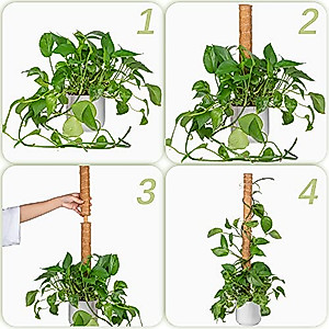 Moss Pole for Plants Monstera, 52 Inch Moss Stick, Fusisi Plant Pole for Climbing Plants Coir Totem Pole - Plant Support for Indoor Potted Plants Train Creeper Plants Grow Upwards - 4 Pack