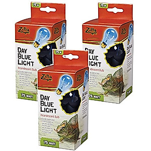 Zilla Incandescent Bulb, Day Blue Light and Heat, 50 Watt (3 Pack)