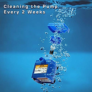 iPettie Pet Fountain Pump Replacement for Tritone & Fiumi Ceramic Fountains and Hommii Pet Fountains | Certificated Quiet Water Pump | Pack of 1