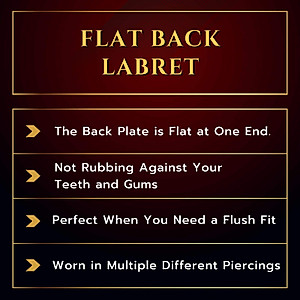 2Pcs Surgical Steel 18g 1/2 12mm labret Stud Piercing Jewelry Spider Bite Monroe Vertical Monroe Cartilage 3mm Ball M0226