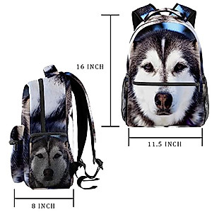 School Backpack Travel Backpack,Boy Girl Backpack,snow forest husky dogs,Outdoor Sports Rucksack Casual Daypack