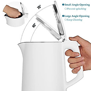 Dezin Electric Kettle, 0.8L Portable Travel Kettle with Double Wall Construction, Stainless Steel Electric Tea Kettle for Business Trip, Small Electric Kettle with Auto Shut-Off, White (Without Cup)