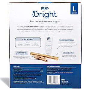 Bark BARK Bright Large Dental Kit for Dogs, 26.29 oz,31 Piece Set