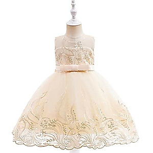 LENEFU Baby Girl Dress Kids Formal Flower Lace Embroidery,Sleeveless Princess Gown for Party Wedding Pageant(Champagne130)