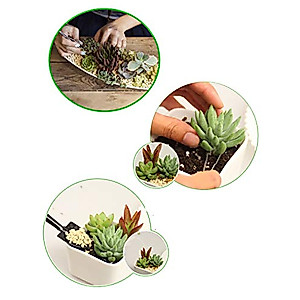 Metrmiss 1 14 Pieces Bonsai Set Succulent Garden Hand Tools with Mini Ra, w