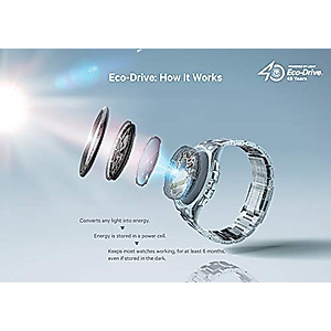 Citizen Women's Eco-Drive Dress Classic Watch in Two-tone Stainless Steel, White Dial (Model: EW3144-51A)