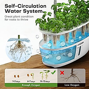 Ahopegarden Indoor Garden Hydroponics Growing System: 12 Pods Plant Germination Kit Herb Garden Kit Growth Lamp Countertop with LED Grow Light Hydrophonic Planter Grower Harvest Vegetable Lettuce