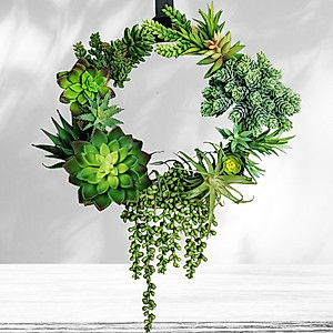 Winlyn 15 Pcs Artificial Succulents Unpotted Bulk Small Faux Succulent Plants Hanging Succulents Hops Aloe for Succulent Garden Wreath Floral Arrangement Indoor Outdoor Green Decor
