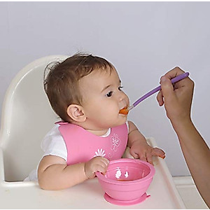 brinware 2 Piece Glass and Silicone Suction Bowls, Pink Purple