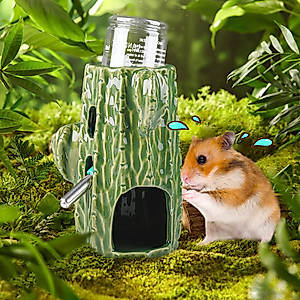 CheeFun Ceramic Hamster Water Bottle: 80ML Adjustable Cactus Water Stand Holder - No Drip Rat Water Bottle for Dwarf Hamster Mice Gerbil Guinea Pig (Light Green)