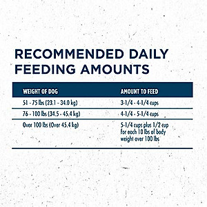 Purina ONE Plus Large Breed Adult Dog Food Dry Formula - 40 lb. Bag