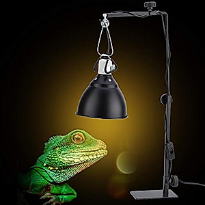 Heavy Duty Adjustable Floor Heat Lamp Stand, Easy Installation Move Adjustable Reptiles Floor Lamp Stand Beard Dragons for Amphibians Pet Reptiles Tortoise Centipede Spider